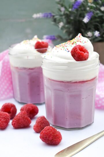 Quick Vegan Raspberry Mousse with Silken Tofu - theveganlunchbox.co.uk