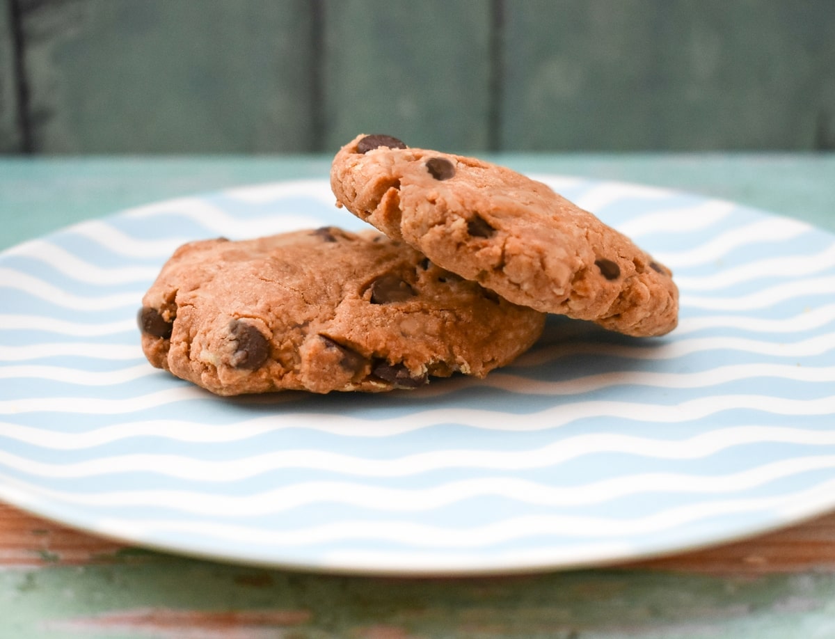 Quick Air Fryer Biscoff Cookies - Small Batch - theveganlunchbox.co.uk
