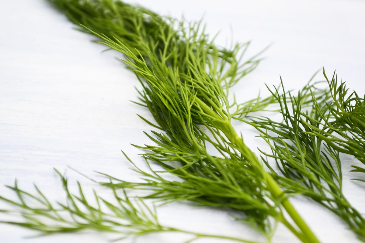 Vegan Mushroom Soup with Fennel & Dill - theveganlunchbox.co.uk