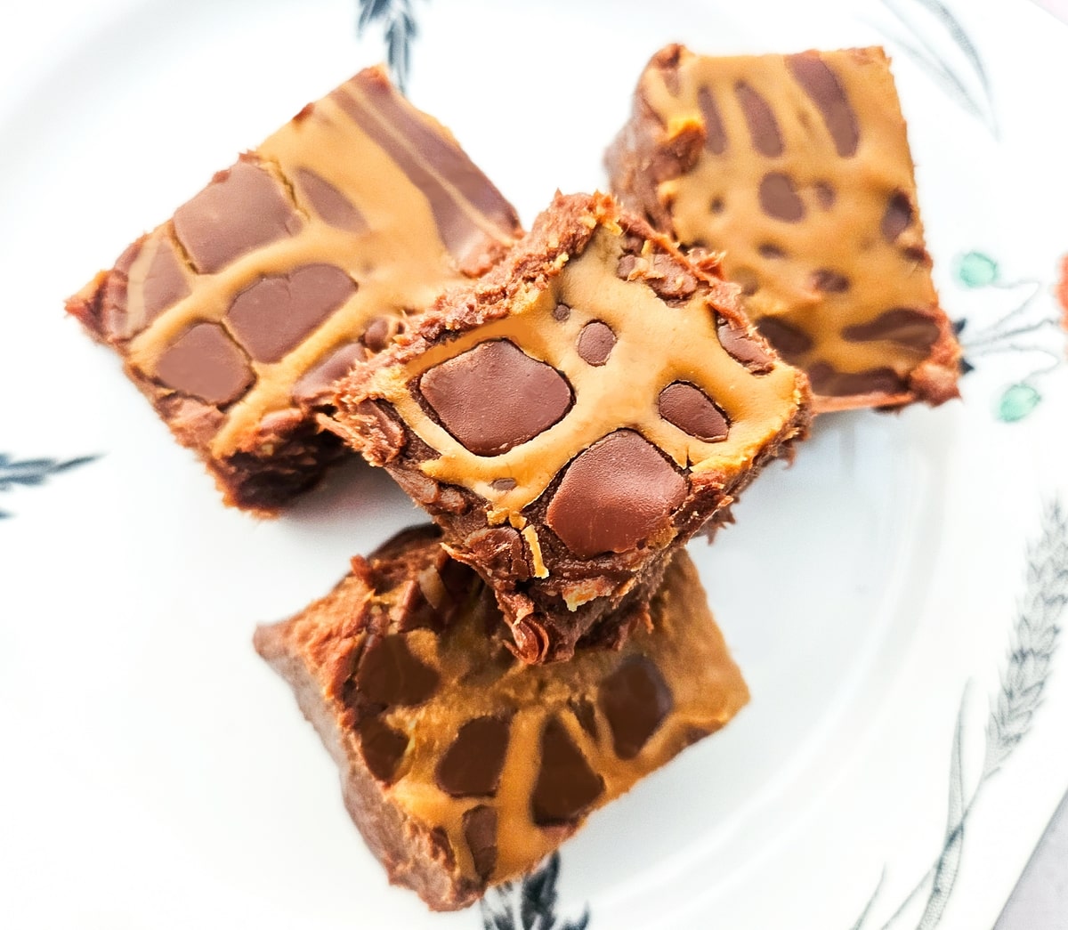 Easy Vegan Biscoff and Chocolate Fudge Recipe - theveganlunchbox.co.uk